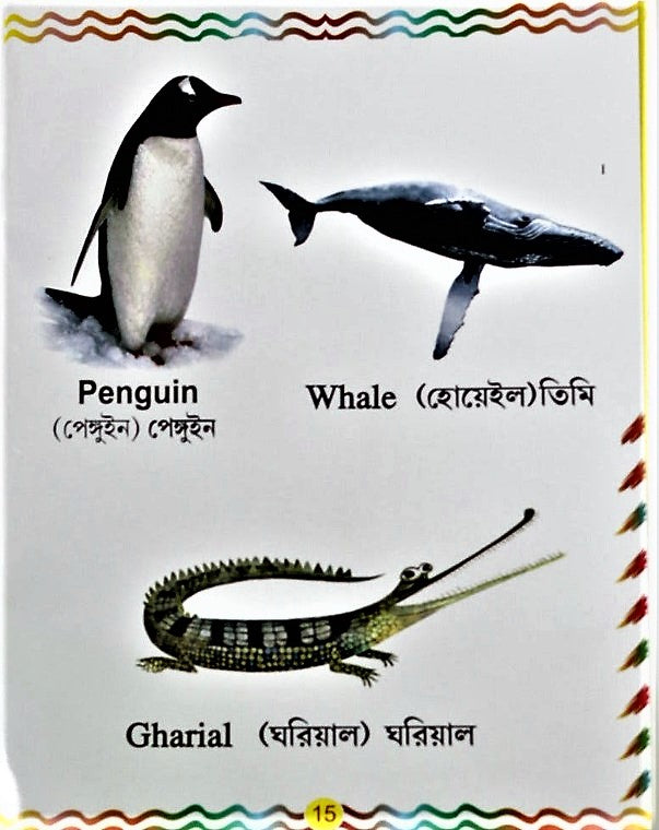 Animals & Birds - A book for early learning in English and Bengali ...