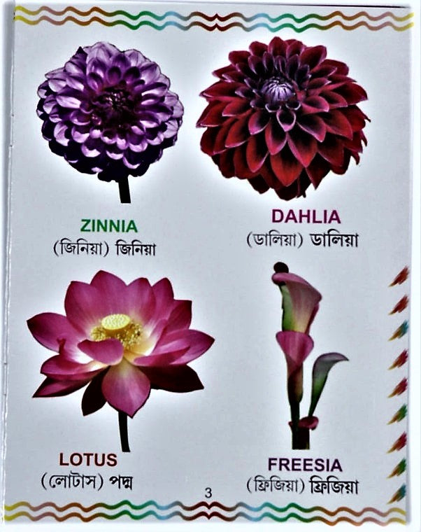 A series of 5 books for early learning - fruits flowers vegetables fis ...