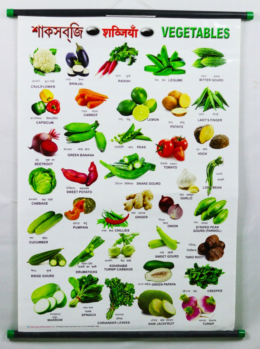 Vegetable Chart – Large Vibrant Color Chart with Words and Spellings i ...