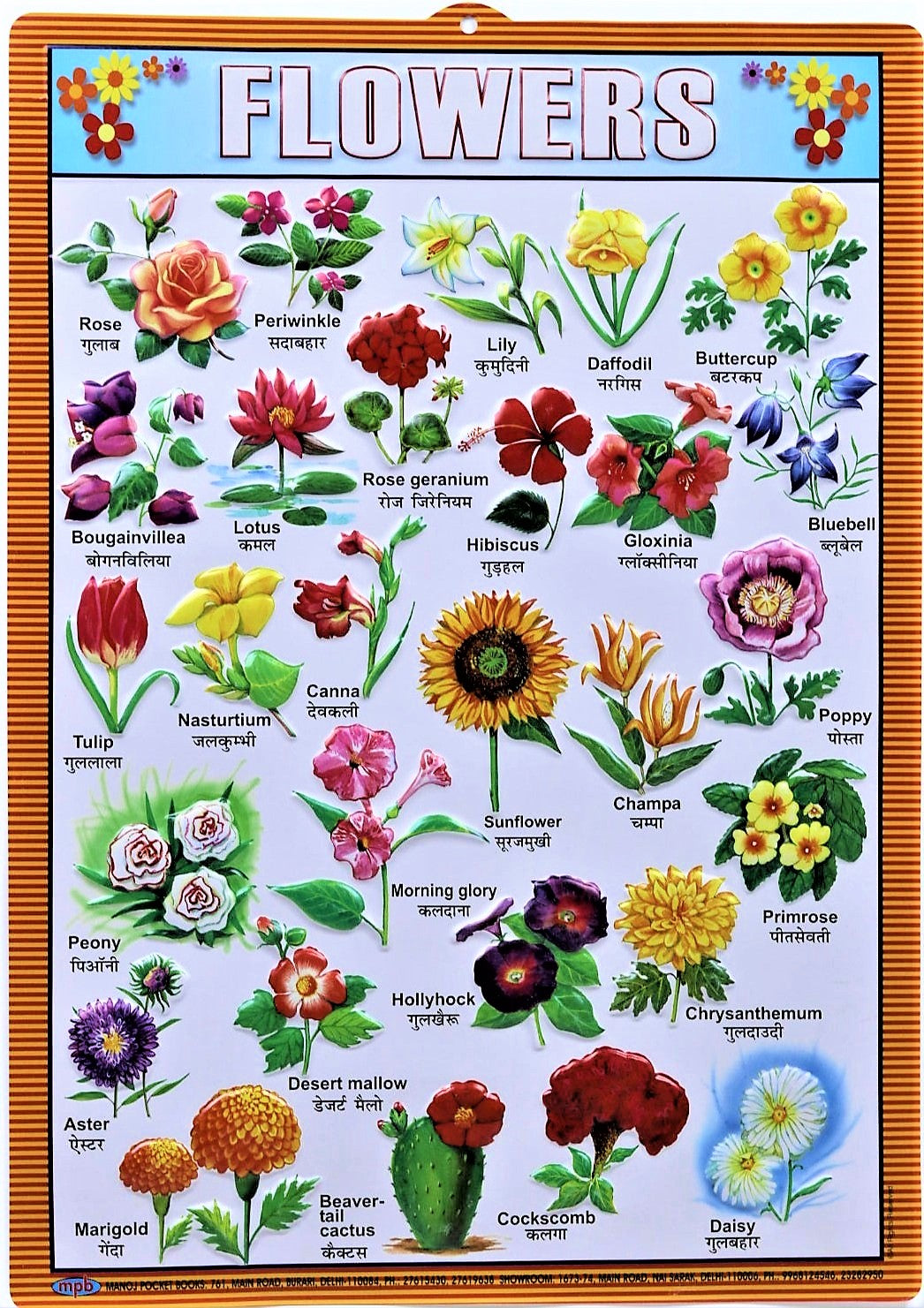 Flowers With Names For Kids Flower Names Set Stock Illustrations